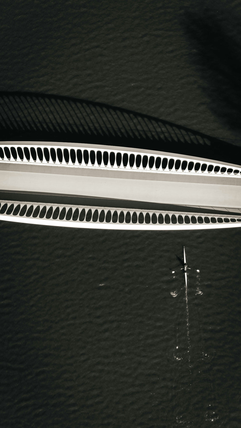 Understanding How Wood Sage & Sea Salt Reed Diffusers Can Support Mental Health through ...