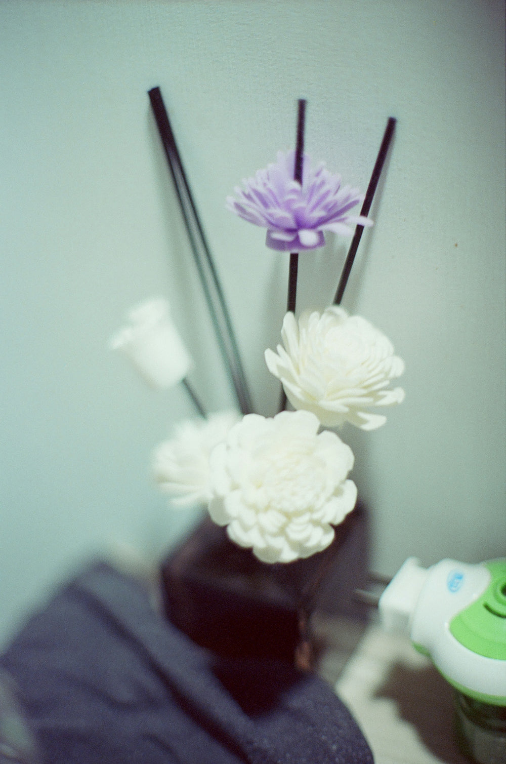Comparing Popular Home Scent Solutions: Why Reed Diffusers Stand Out ...